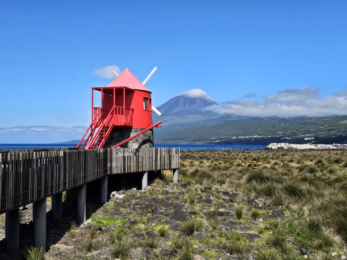 Pico - guida definitiva per i viaggiatori